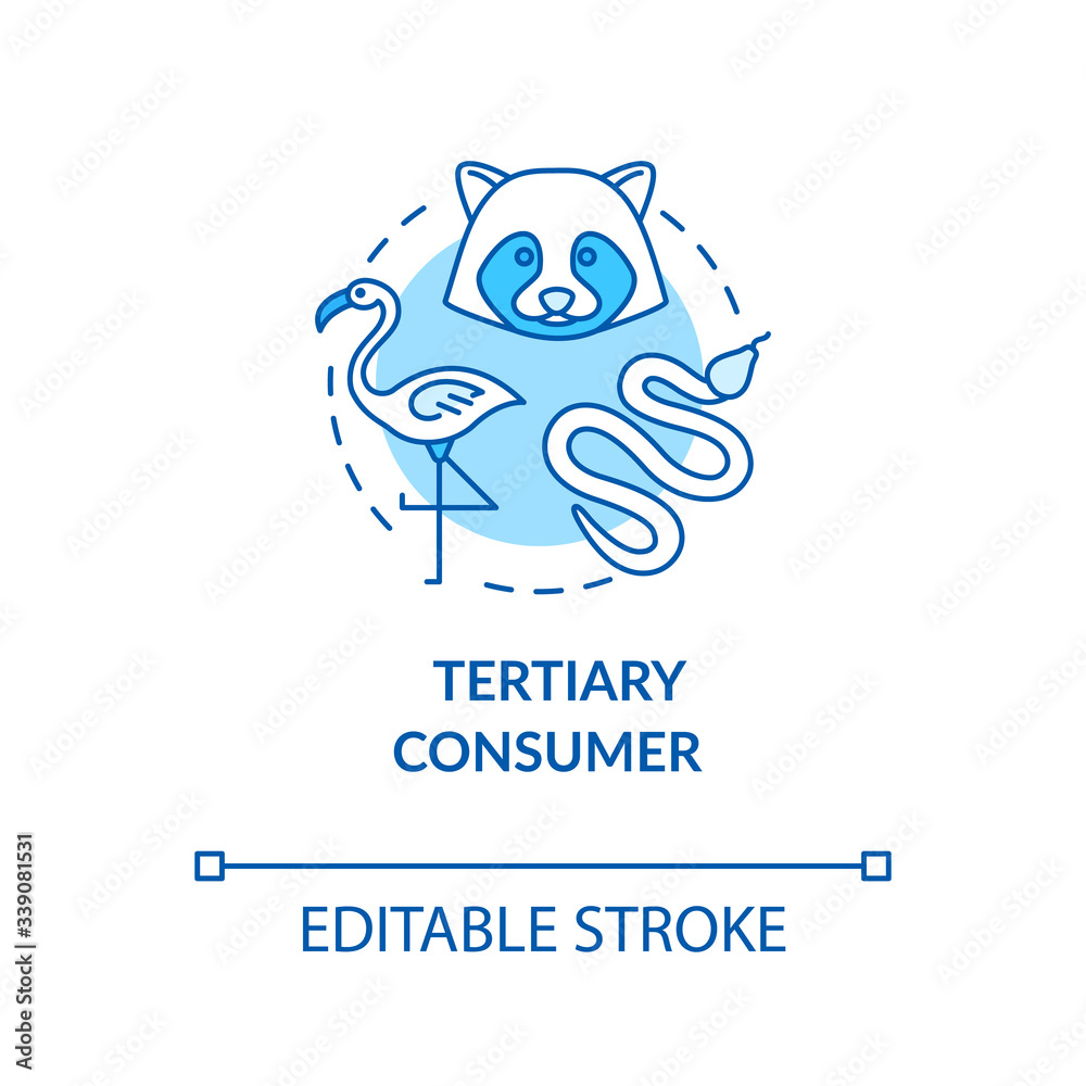 Vektor Tertiary consumer blue concept icon. Grazing food chain link ...