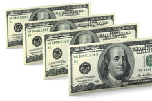 American Greenback Free Stock Photo - Public Domain Pictures