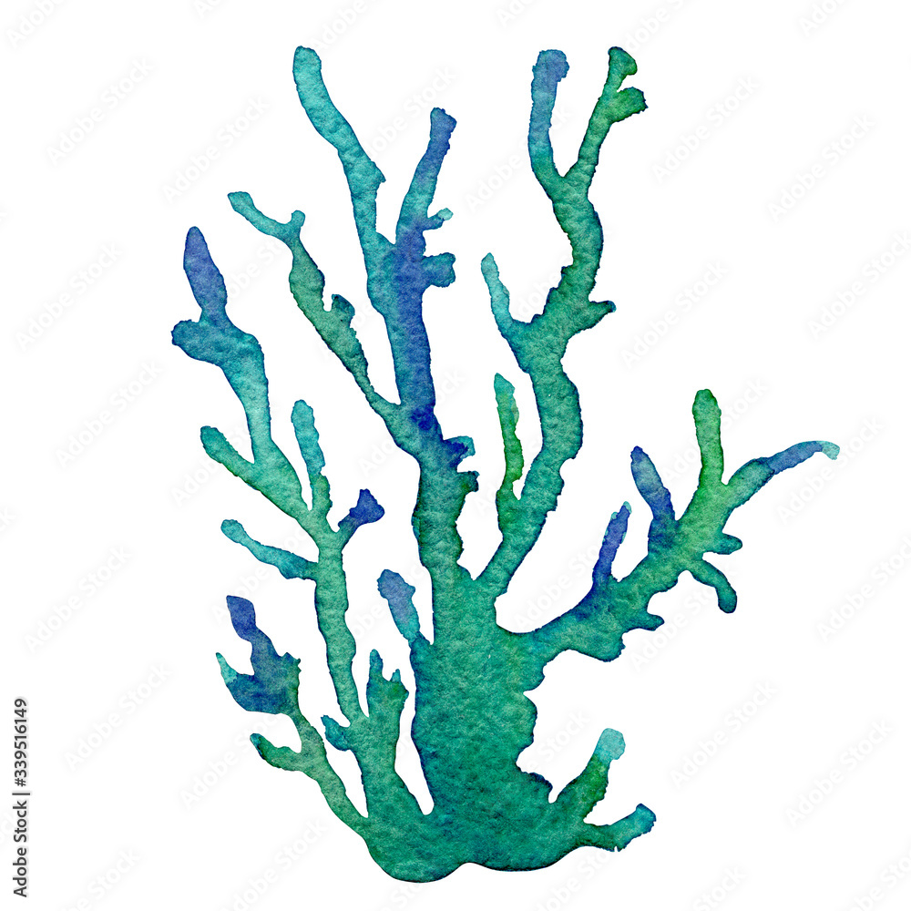 Watercolor illustration of the green coral reefs on a white background ...