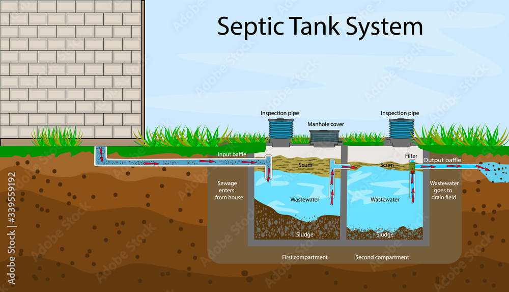 Septic Tank diagram. Septic system and drain field scheme. An ...