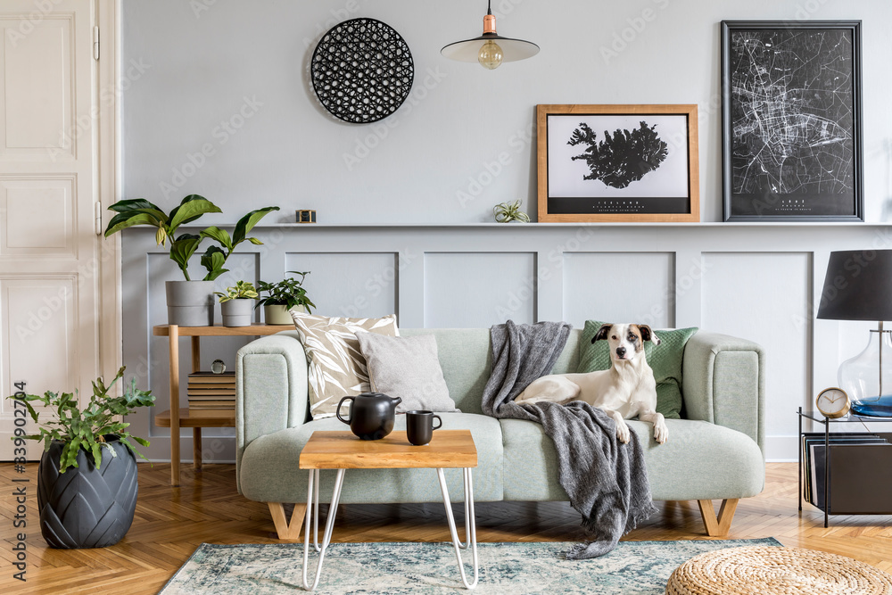 Stock Foto Stylish interior design of living room with modern mint sofa wooden console furniture plant mock up poster frame pdecoration elegant accessories in home decor and dog lying on the couch