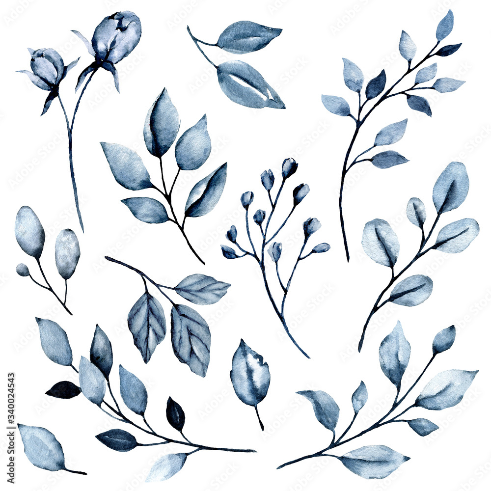 Watercolor blue indigo leaves set. Botanical illustration isolated on ...