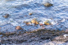 Sea Shore Stream Free Stock Photo - Public Domain Pictures