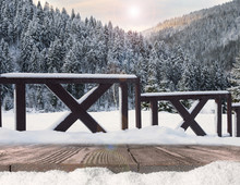 Spruce Tree Wooden Farm Fence Free Stock Photo - Public Domain Pictures