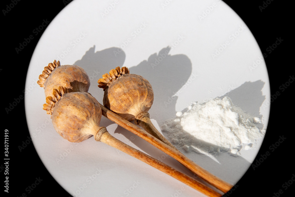 Three poppy heads and white powder on a white background in black ...