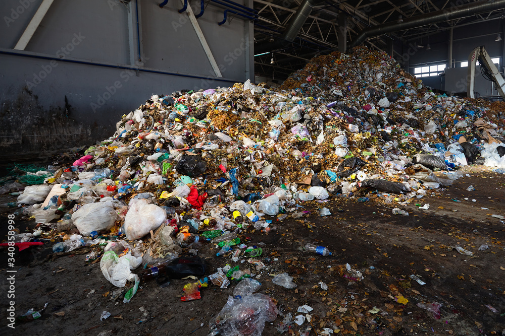 Solving problem of environmental pollution with waste at garbage ...