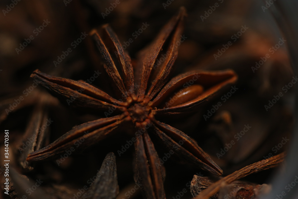 Fotografie Anis-Estrelado é uma planta medicinal que chega até 10 ...