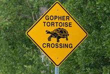 Gopher Tortoise Sign Free Stock Photo - Public Domain Pictures