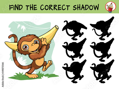 Cute little monkey carries a banana. Find the correct shadow ...