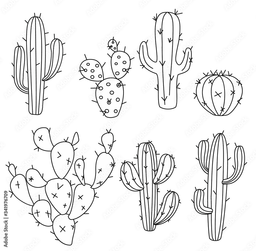 Cactus vector illustrations. Hand drawn outline cactus set. Stock ...