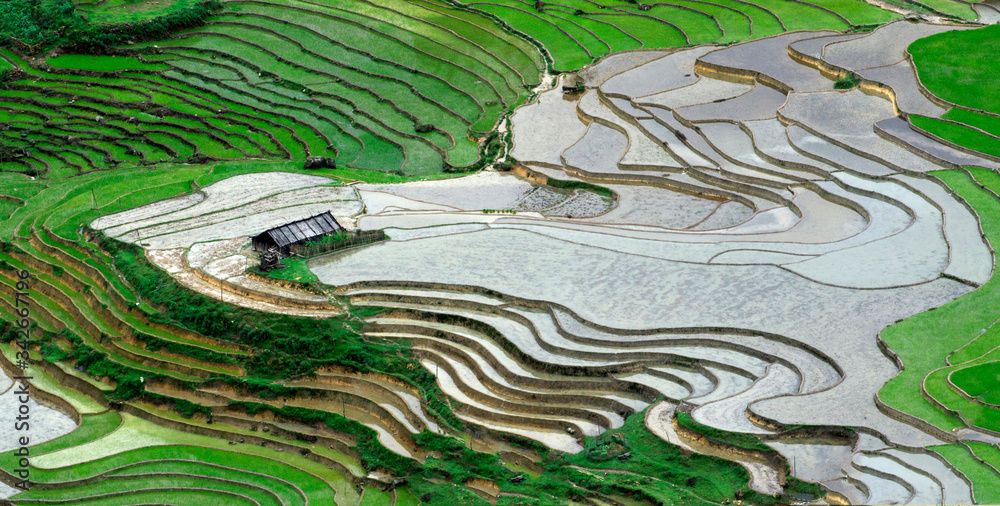 Water on terraces at Thien Sinh valley, Y Ty, Lao Cai, Vietnam same ...