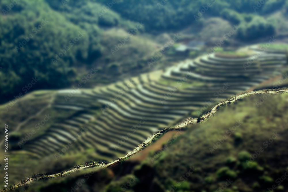 Water on terraces at Muong Hoa valley, Sapa, Lao Cai, Vietnam same ...