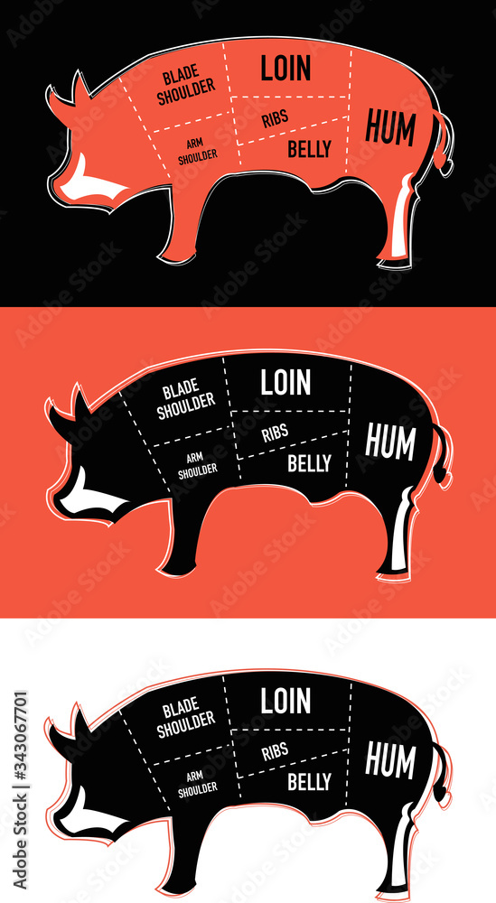 Vector Animal silhouette pork. Meat Cuts Diagrams. Diagrams for butcher ...