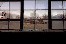 View Through A Broken Window Free Stock Photo - Public Domain Pictures