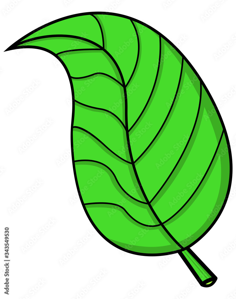 Dibujo de Hoja de árbol Verde Stock Illustration | Adobe Stock