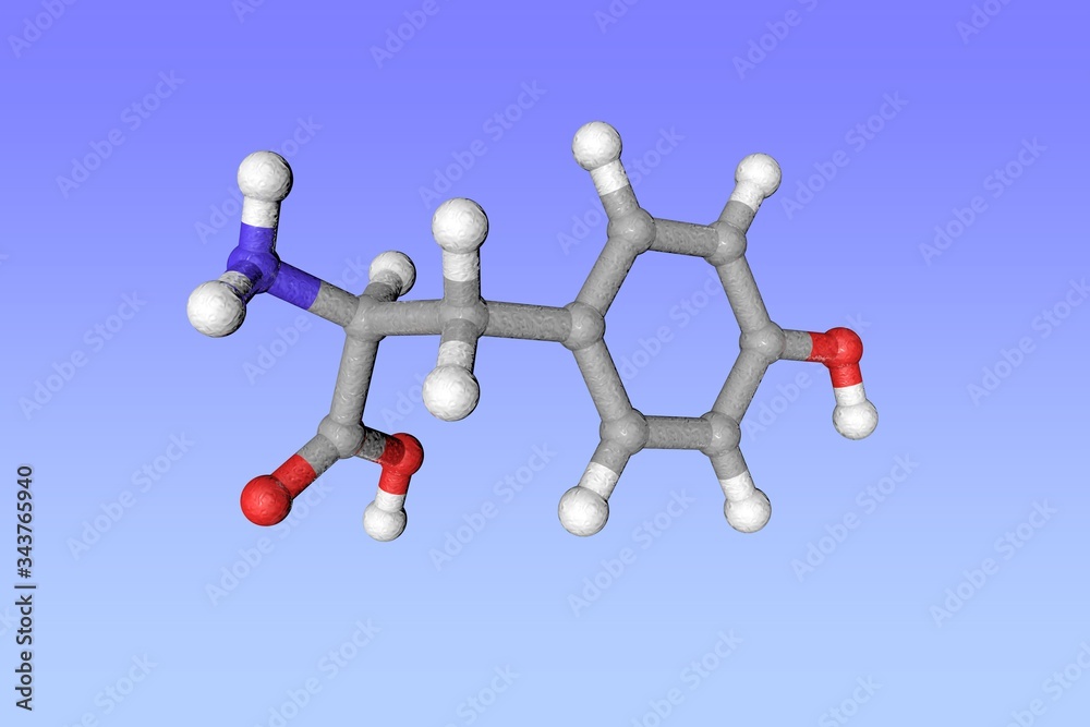Molecular model of l-tyrosine. Atoms are represented as spheres with ...