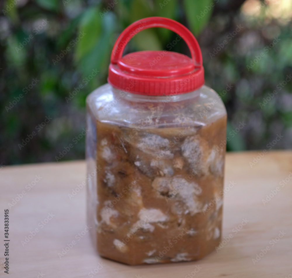 Pickled fish in a plastic jar Thai folk food is made from fermented ...