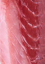 Tuna Slices Free Stock Photo - Public Domain Pictures