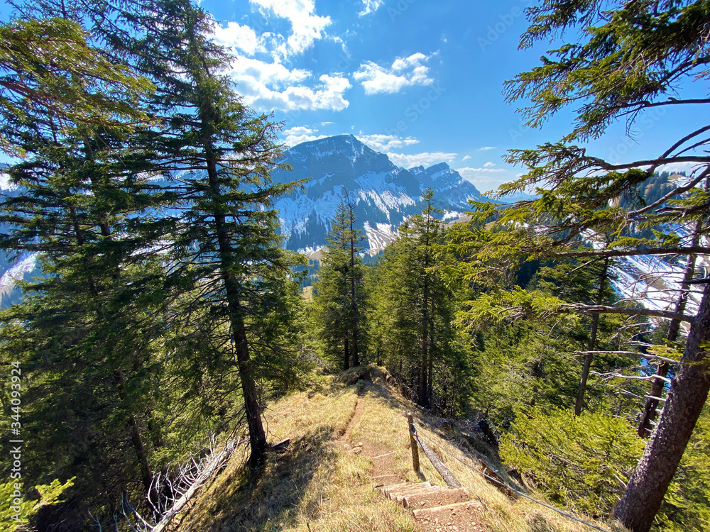 Trails for walking, hiking, sports and recreation in the Eigental ...