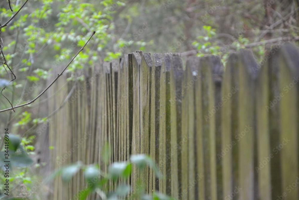 Foto de Stock ogrodzenia, drewna, charakter, zieleń, drzew, gras, bory ...