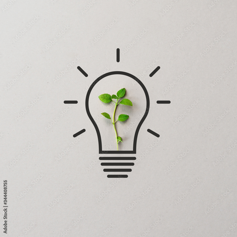 Concept image of a light bulb with a plant inside, a symbol of clean ...