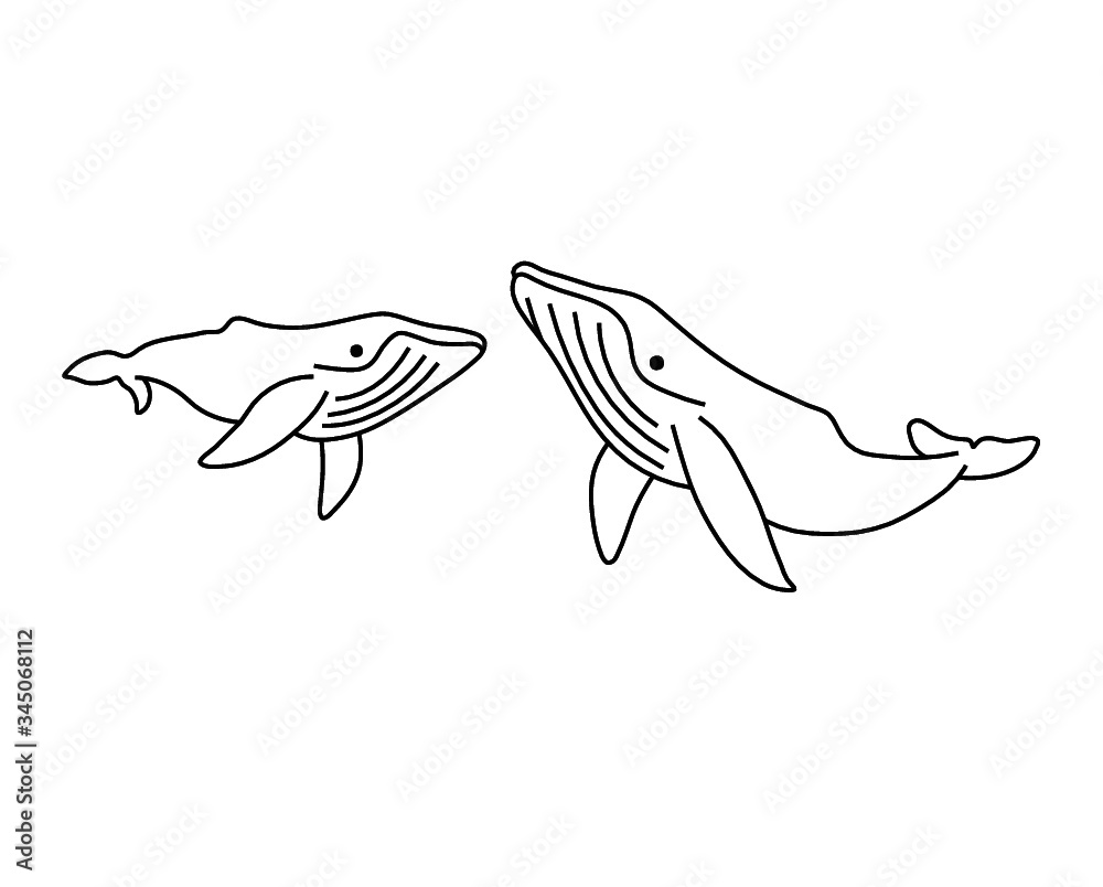 Vector illustration of whale. Contour hand drawing. Two whales. Print ...