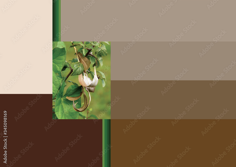 Stock-Foto „Palette nuancier Trend 2020 Color couleur brun fleur color ...