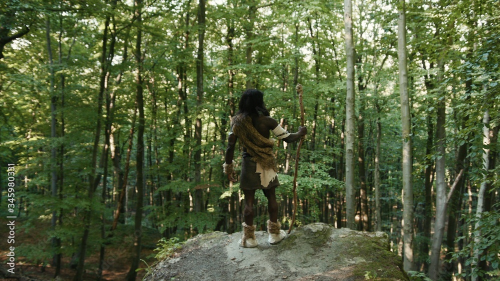 Foto de Stock Proud wildman of neanderthals on edge of rock enjoying ...
