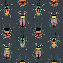 Boho Bug Insect Free Stock Photo - Public Domain Pictures