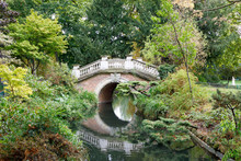 Rock Bridge And Fallen Tree In Fall Free Stock Photo - Public Domain ...