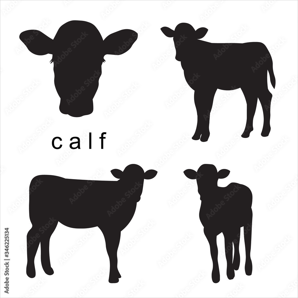 Vector black calf illustration of farm animals. Set isolated on white ...