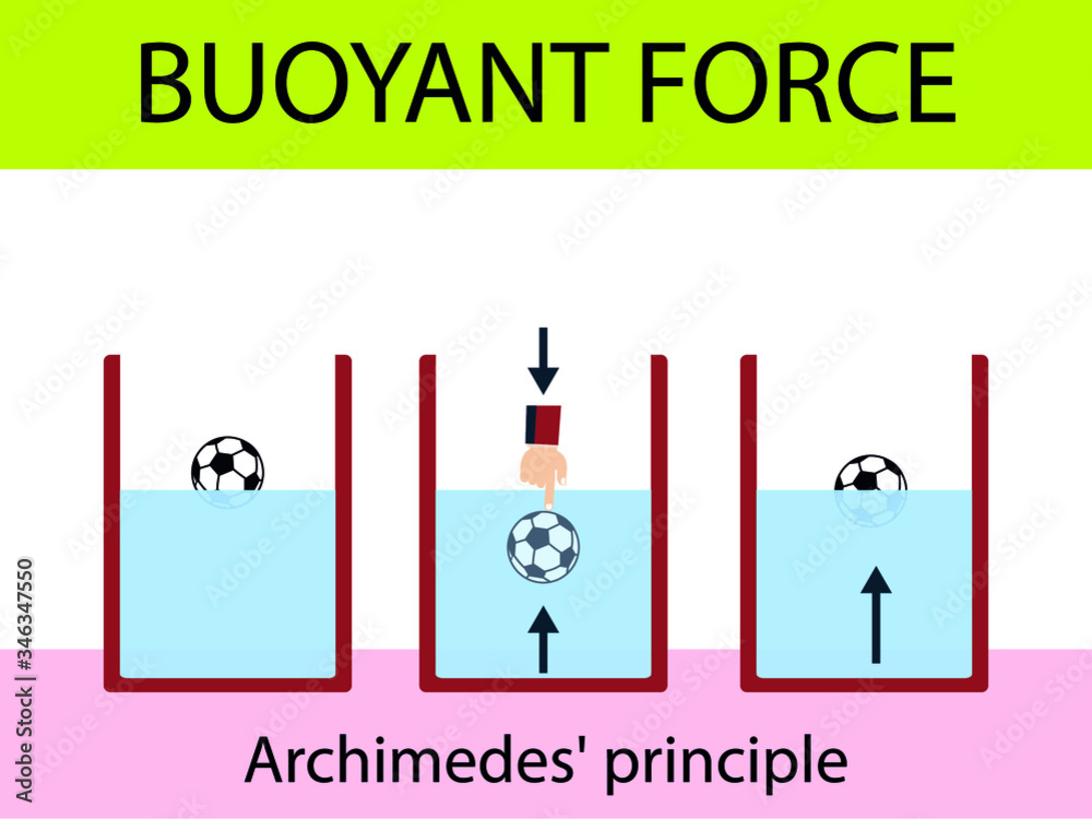 buoyancy of water. archimedes. Greek mathematician and inventor from ...