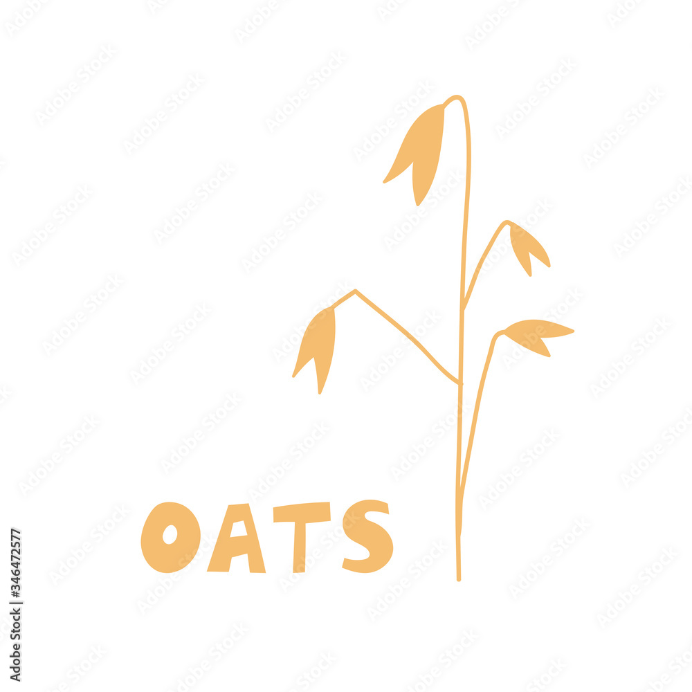 Oat plants. Agriculture wheat Logo Template vector icon design. Oat ...