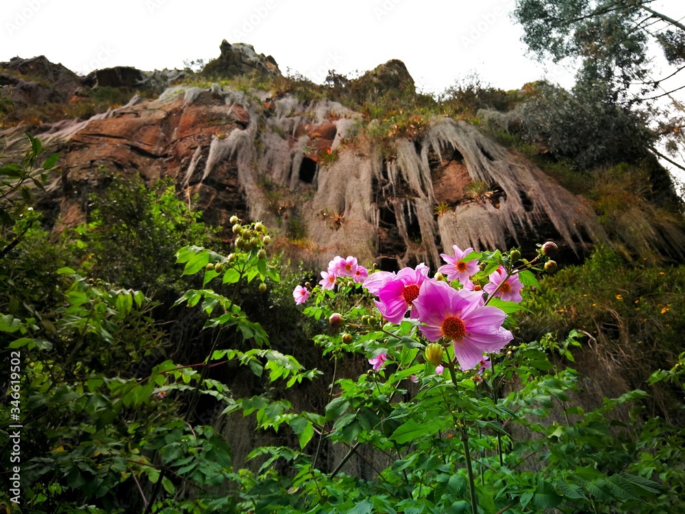 Photo Stock fotografia en suesca cundinamarca, donde en primer plano ...