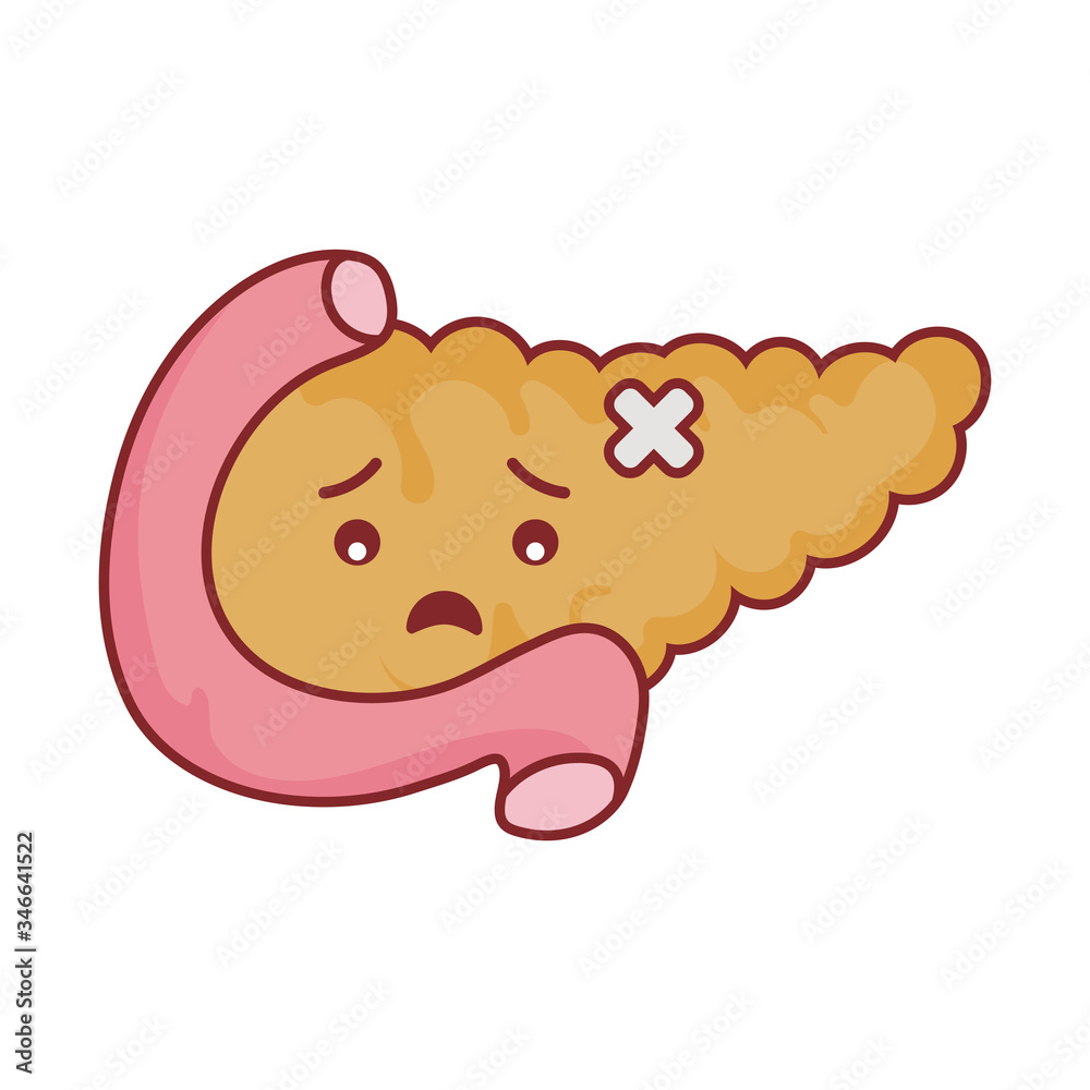 pancreas cartoon flat style icon vector design Stock Vector | Adobe Stock