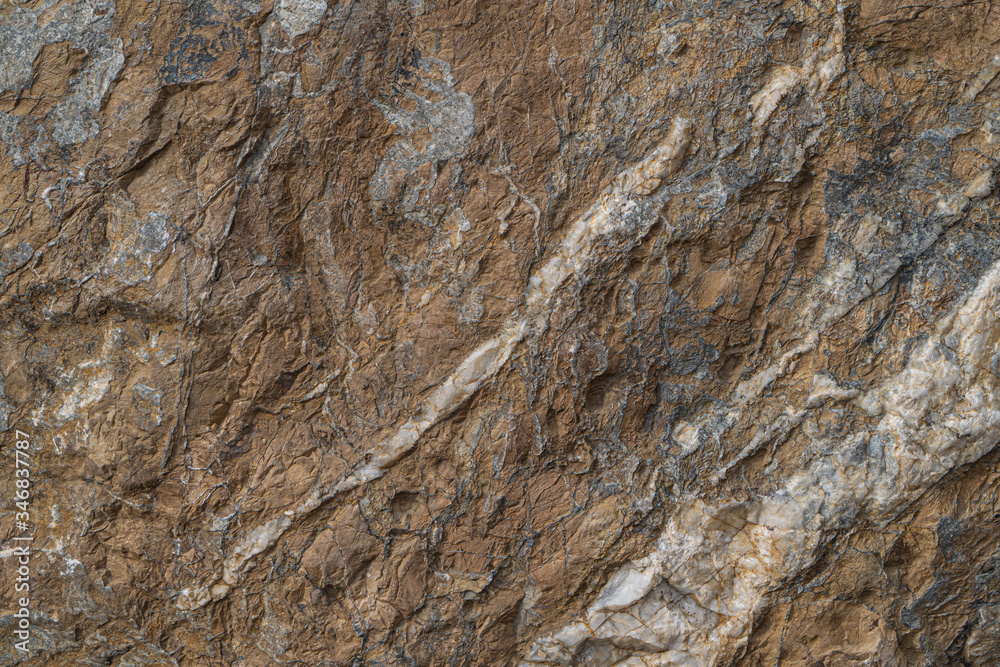 Gold ore texture close-up. Contains quartz, mica, feldspar, chlorite ...