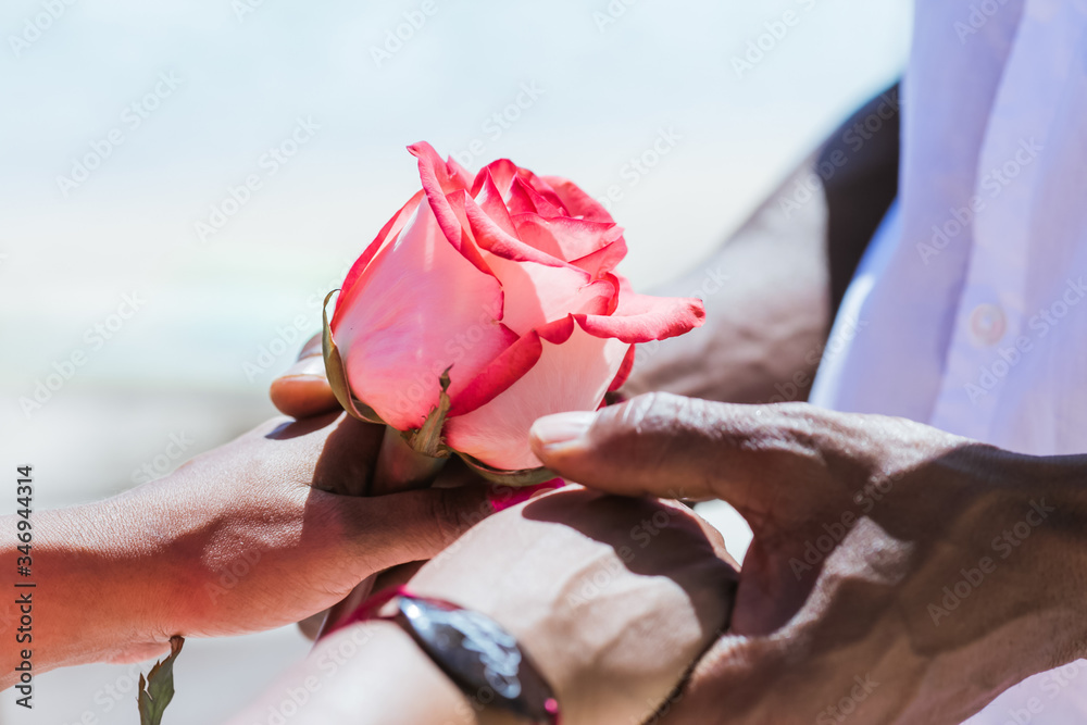 Wedding romantic couple holding hands and red rose flower on the beach ...