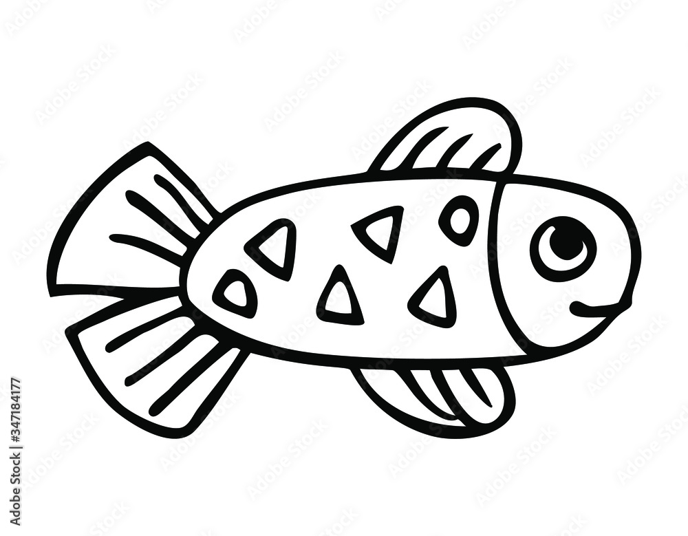 Small baby fish with tail, fins and triangle pattern, baby fish ...