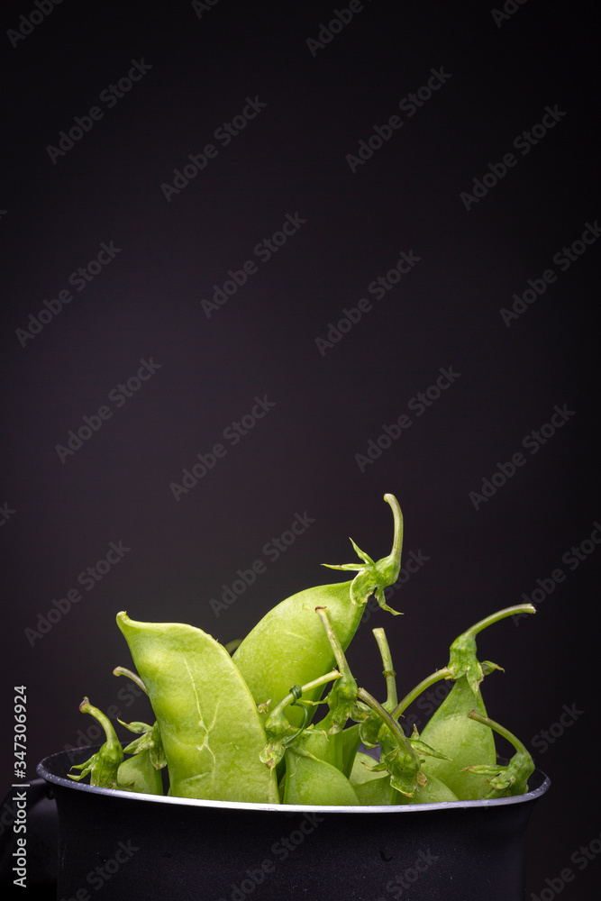 Vertical frame with a bunch of vibrant green pea pods fruit tops ...