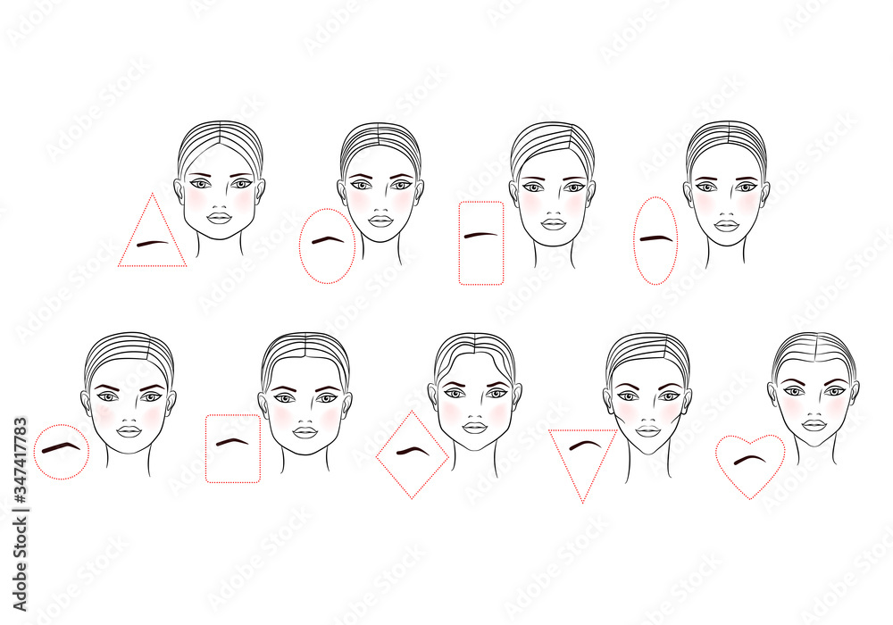 Female eyebrow shapes in accordance with the shape of the face. Line ...