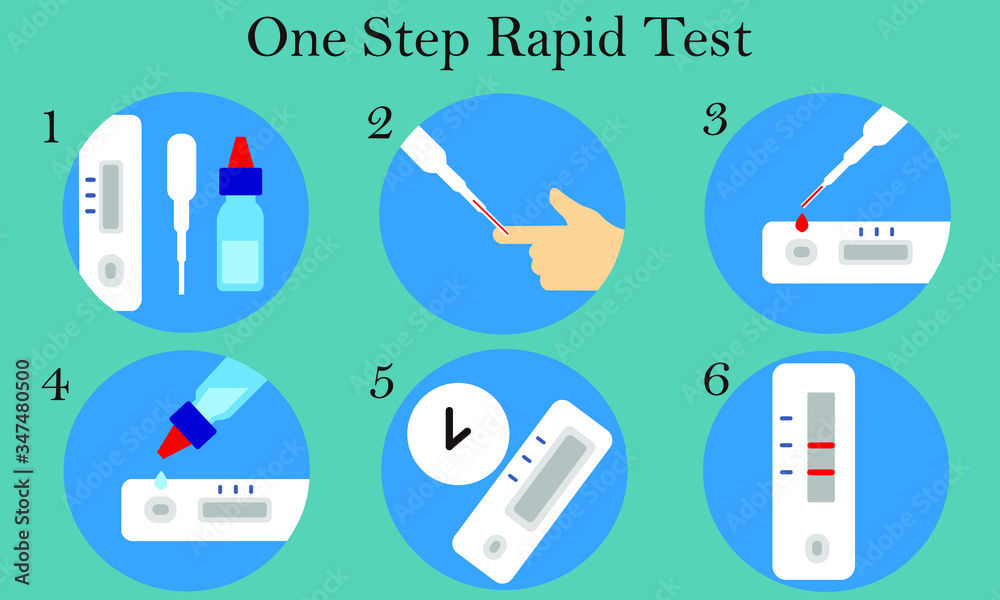Vector steps of a quick test kit showing how to draw blood, add ...