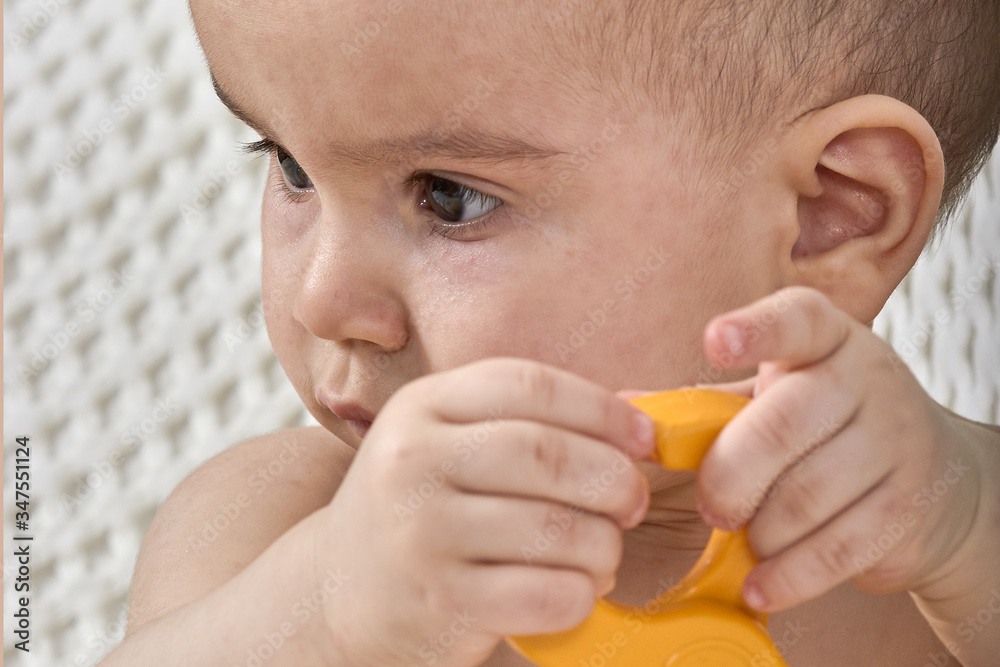 roseola rash a viral rash on the skin of a child Stock Photo | Adobe Stock
