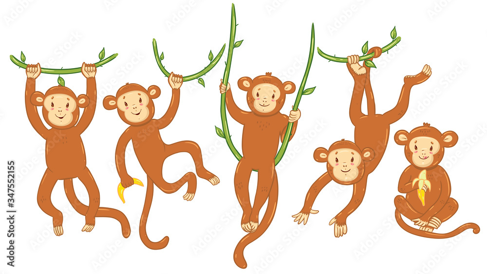 Set of cute monkeys isolated on a white background. Vector graphics ...
