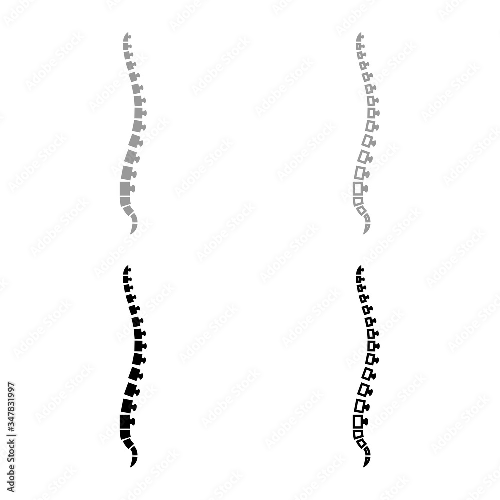 Spine human Spinal Lateral view Vertebras Dorsal vertebrae icon outline ...