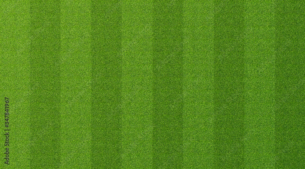 Green grass texture for sport background. Detailed pattern of green ...