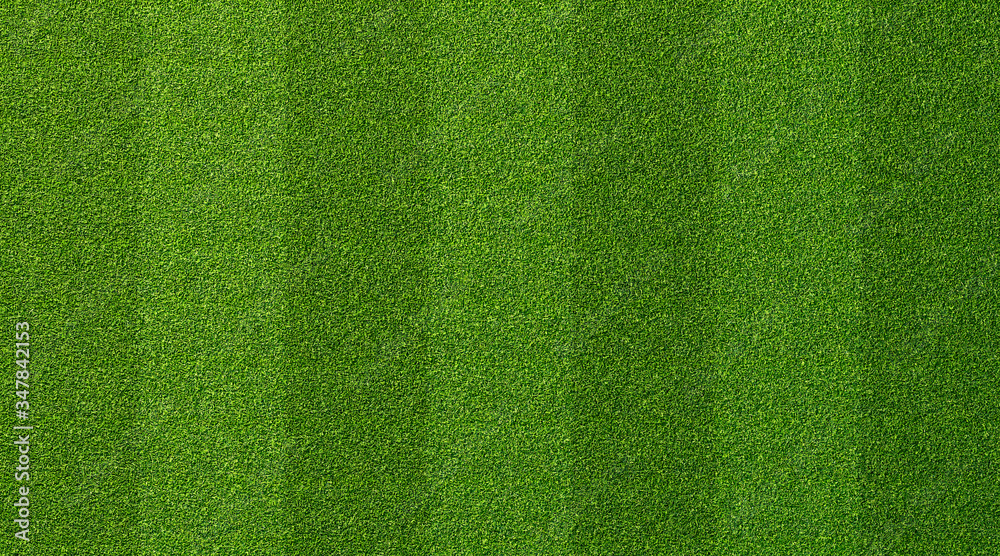 Green grass texture for sport background. Detailed pattern of green ...