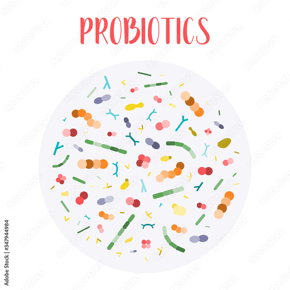 Probiotics. Lactic acid bacteria. Good bacteria and microorganisms for ...