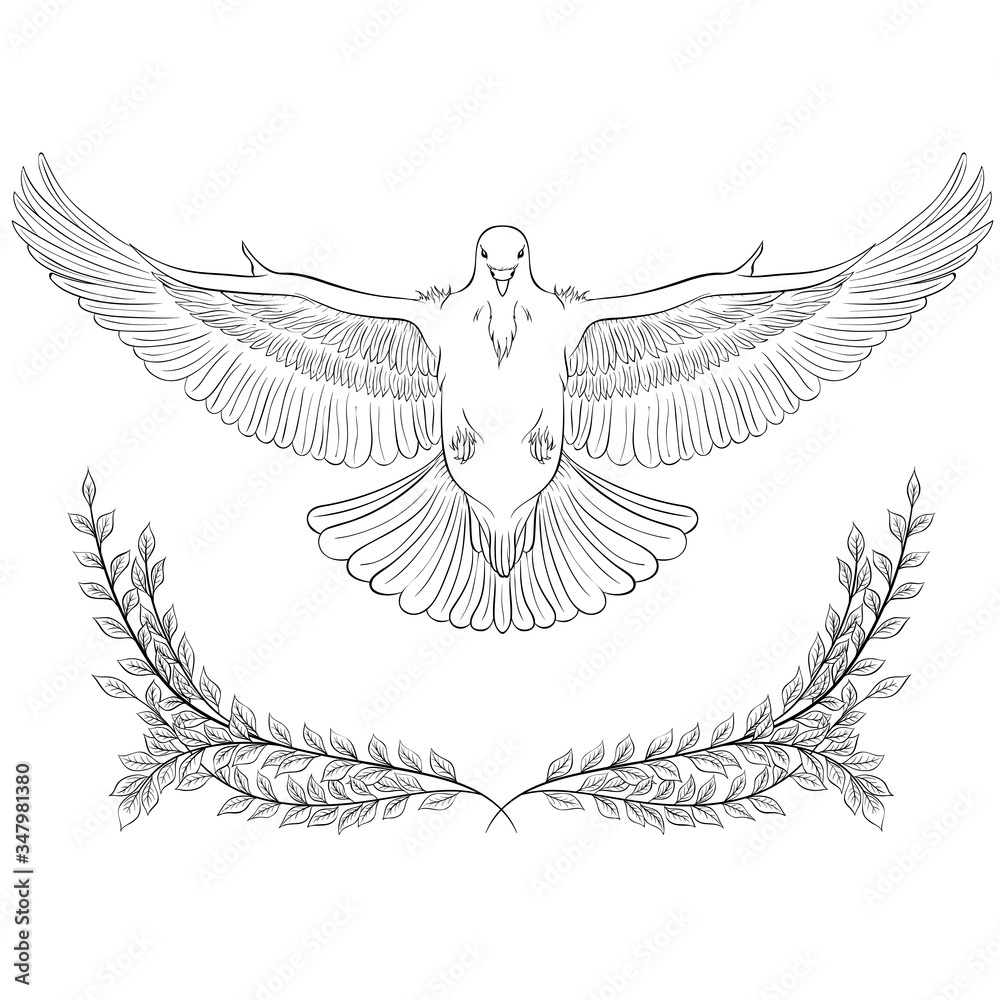 Dove bird hand drawn illustration in line art style isolated on white ...