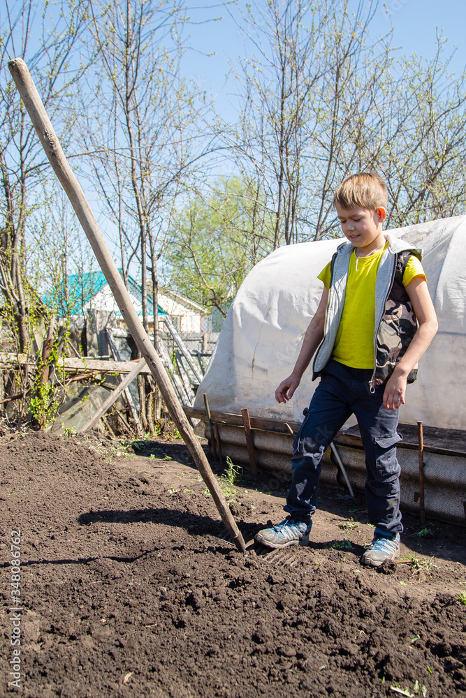 foot stepping on a rake Stock Photo | Adobe Stock