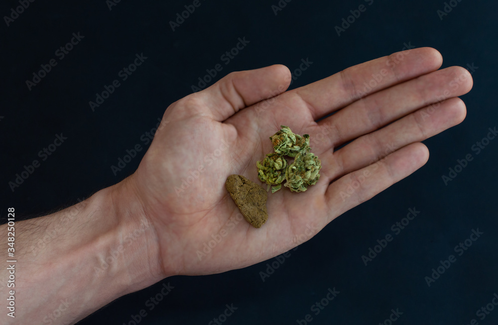 Top views of a hand with marijuana buds and a block of hash isolated on ...